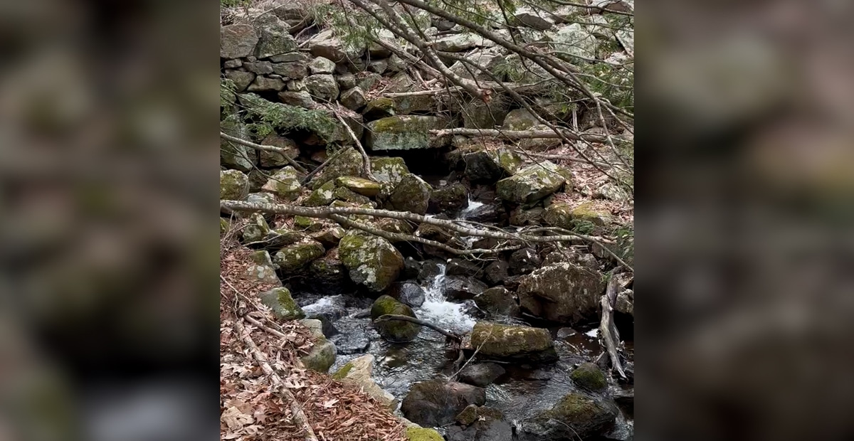 Video of The Week: The Soothing Sounds of Sawmill Brook | Burlington ...
